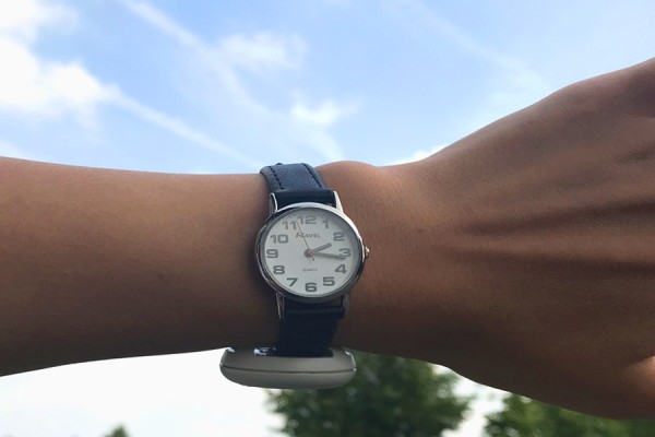 Abilia Epilepsie-Überwachungs-Set mit Bettmatte und Funkalarm per Anruf ...